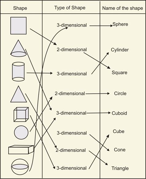 NCERT Solutions For Class 8 Maths Chapter 10 Visualizing Solid Shapes