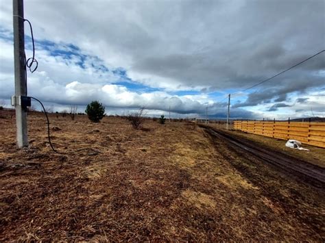 Продается просторный земельный участок сельхозназначения 43 га недалеко от города Горно Алтайска