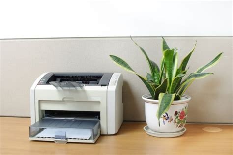 Why Is My Printer Not Printing In Color TCS Digital Solutions