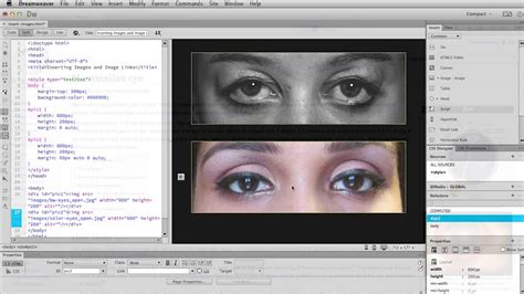 Web Design Basics Dreamweaver Inserting Images Image Links YouTube