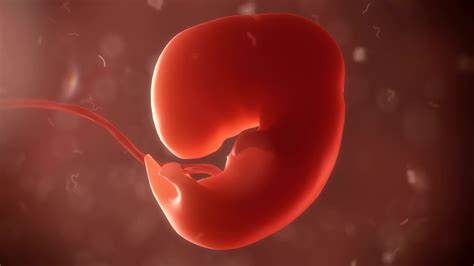 Reflexiones Respecto Del Aborto Segunda Parte Al DÍa Argentina