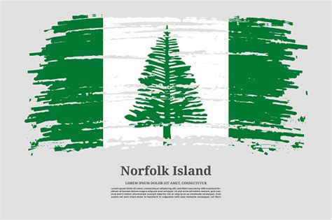 브러시 스트로크 효과와 정보 텍스트 포스터 벡터와 노퍽 섬 국기 0명에 대한 스톡 벡터 아트 및 기타 이미지 0명 공휴일