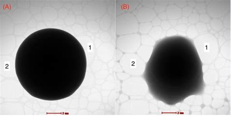 Tem Micrograph Of 10 μm Silica Microcapsules Which Shows The Soft And