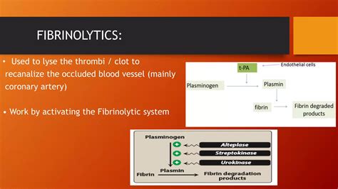 Fibrinolytics And Anti Platelet Agentseasy Pptx Fibrinolytics And Anti Platelet Agentseasy Pptx