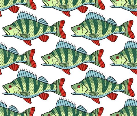 Bass Fish Seamless Pattern Stock Vector Illustration Of Nature 84369795