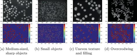 Luca Clissa On Linkedin Deeplearning Microscopy Bioimaging