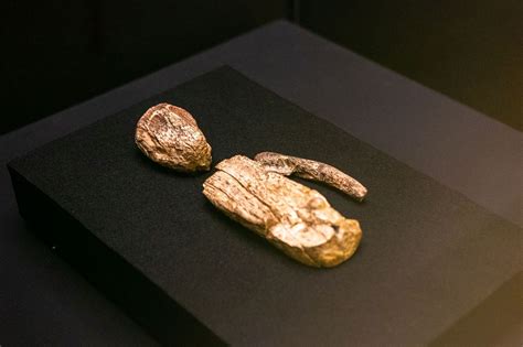 Věstonická Venuše Na Výstavě Národního Muzea