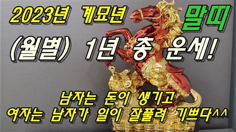2023년 계묘년 말띠 월별 1년 총 운세 Youtube