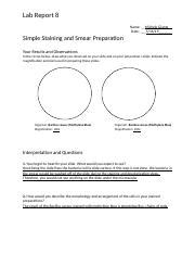 Lab Exercise 8 Docx Lab Report 8 Name Michele Glantz Date 5 16 19 Simple Staining And Smear