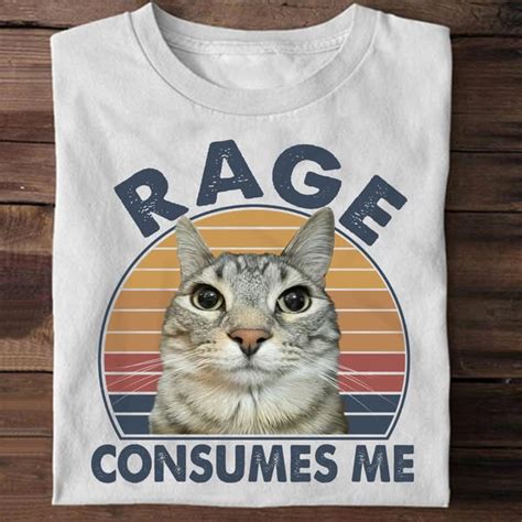 Rage Consumes Me Cat Meme Vintage Fridaystuff