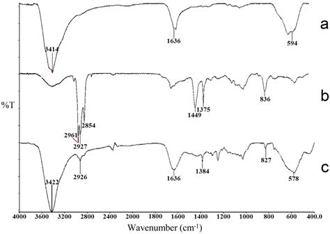 ftir spectra of a fe3o4 b nr and c nr fe3o4 download scientific diagram
