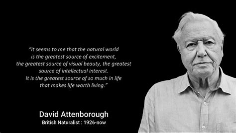 Famous David Attenborough Quotes Over His Lifetime David Attenborough