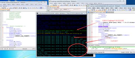 Sqlmap Payload学习
