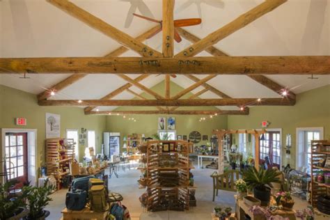 Wholetrees Structures Shade Trees Nursery