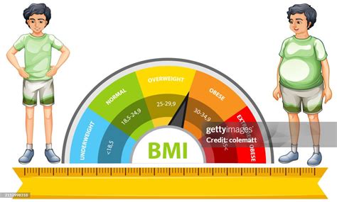 Illustration Of Bmi Scale And Weight Categories High Res Vector Graphic
