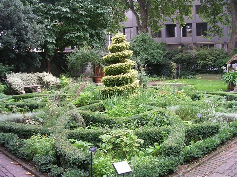 Lemon Verbena Lady's Herb Garden: Another London Favorite Has a New ...