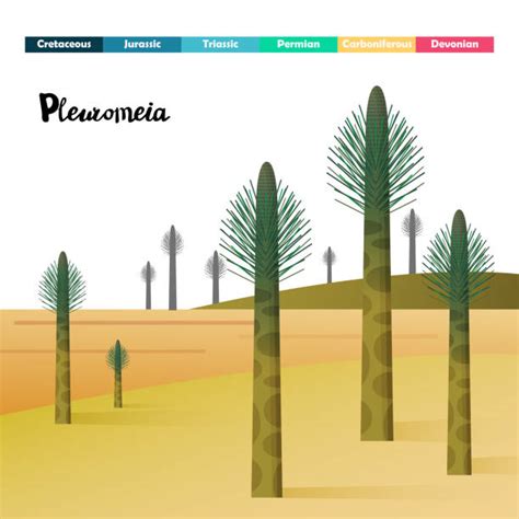 Permian Triassic Extinction Illustrations Royalty Free Vector Graphics