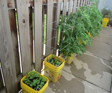 Self Watering Container Garden Self Watering Containers Container Gardening Vegetables