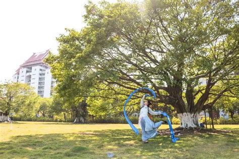 婆娑和娑婆的区别 顺序不同意思大不同 知乎