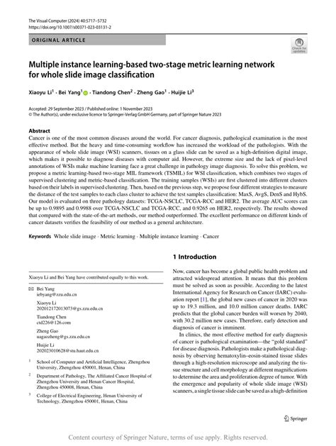 Multiple Instance Learning Based Two Stage Metric Learning Network For Whole Slide Image