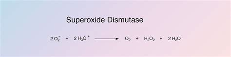Superoxide Dismutase Worthington Enzyme Manual Worthington Biochemical