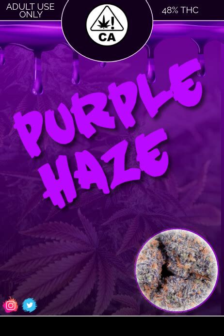 Weed Purple Haze