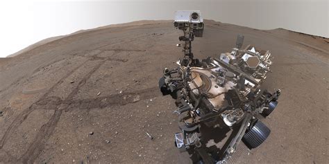 Марсоход Nasa завёл себе нового каменного «питомца — Лайфхакер