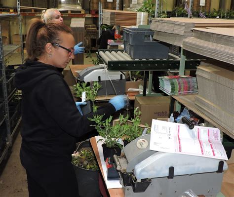 A Sustainable Corrugated Horticultural E Commerce Box Fencor Packaging