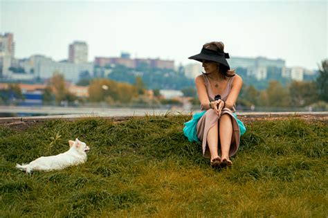 여자와 개 사이의 우정 최고의 친구 그들은 단어가 필요하지 않습니다 개에 대한 스톡 사진 및 기타 이미지 개 고독 부정적인 감정 표현 귀여운 Istock