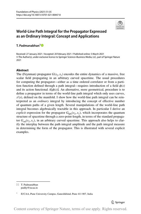 World Line Path Integral For The Propagator Expressed As An Ordinary