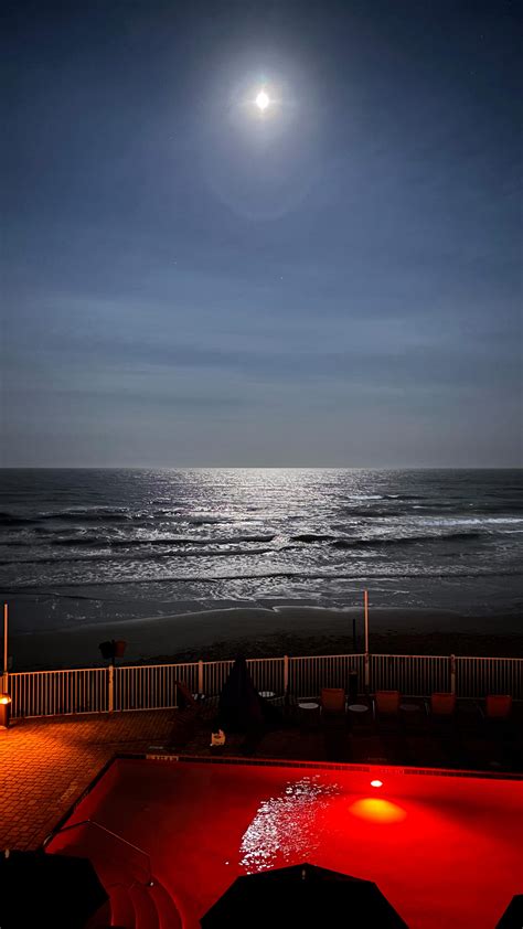 Amy Traverso Amytraverso • Instagram Photos And Videos