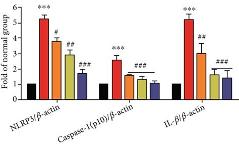 Man Activates Ampk And Regulates The Nlrp3 Inflammasome Signaling