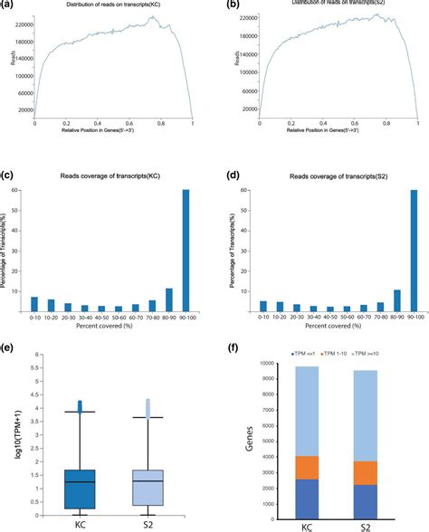 Figure 1 From Transcriptome Profile In Drosophila Kc And S2 Embryonic Cell Lines Semantic Scholar