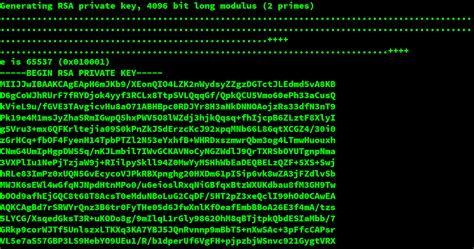What Does My Rsa Public Key Actually Mean By Encody Medium