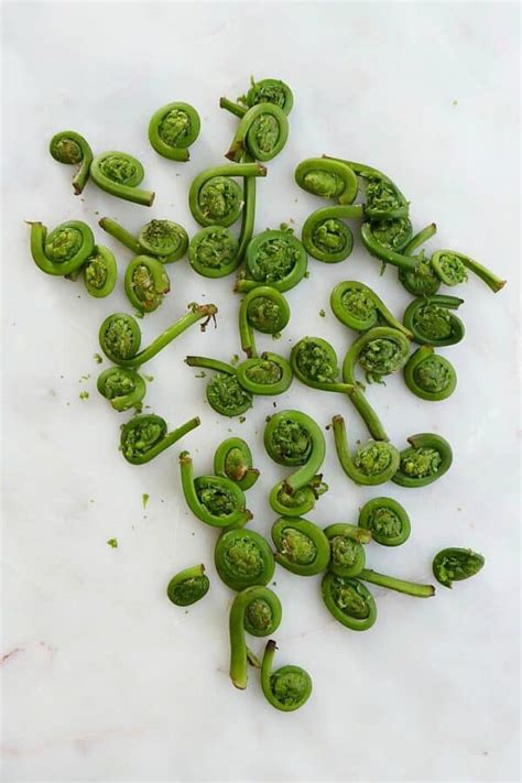 Sautéed Fiddleheads With Garlic Lemon Butter Its A Veg World After All®