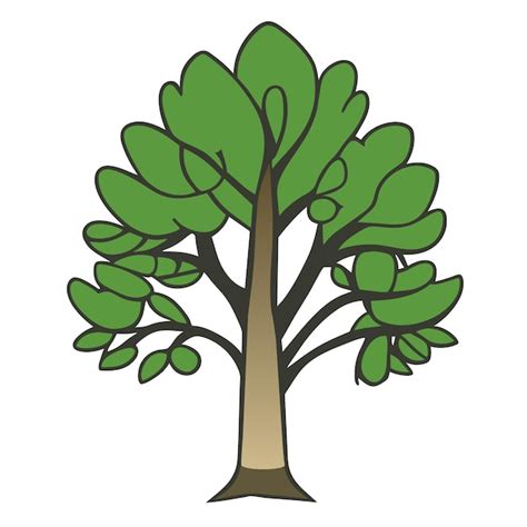 Premium Vector Crisp And Clear Vector Isolation Of A Birch Tree