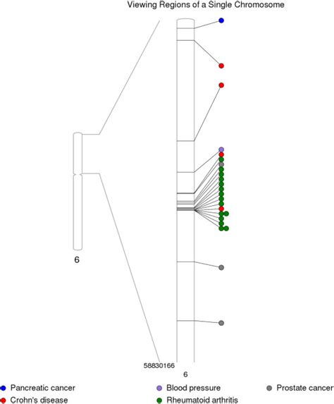 Using Phenogram To Plot An Expanded View Of A Specific Region Of A