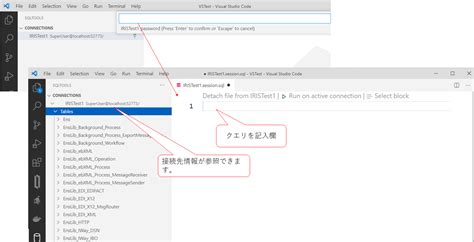 VSCodeSQLTools で IRIS に接続する方法 InterSystems Developer Community SQL