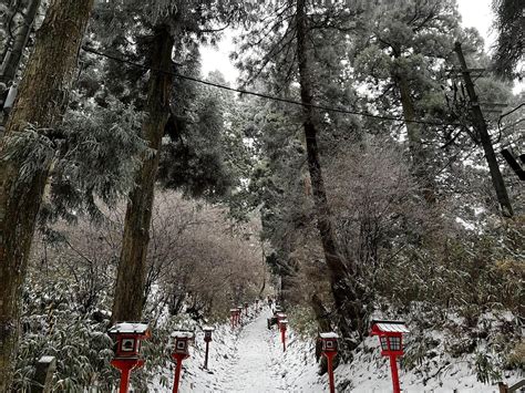 紀見峠から金剛山、千早本道で下山 らくださんの金剛山・二上山・大和葛城山の活動データ Yamap ヤマップ