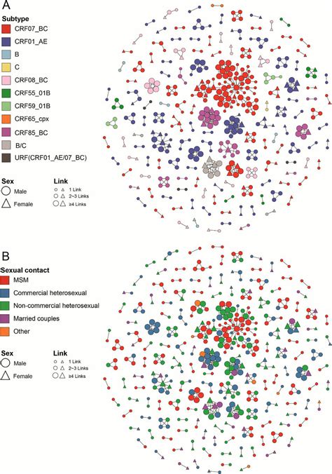 Molecular Transmission Network Analysis Of Patients Infected With Download Scientific Diagram