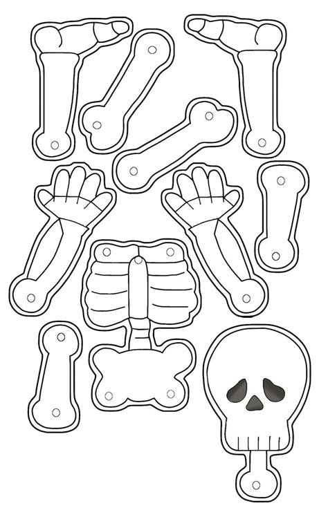 Esqueleto Para Armar En 2024 Esqueleto Para Armar Esqueleto