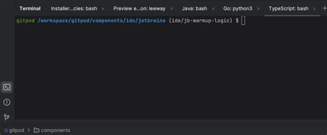 Jetbrains Terminals Dont Resize Properly Causing Text To Overflow