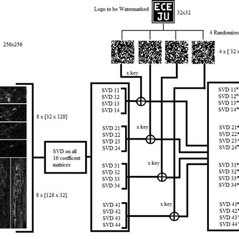 Watermark Detection Procedure Download Scientific Diagram