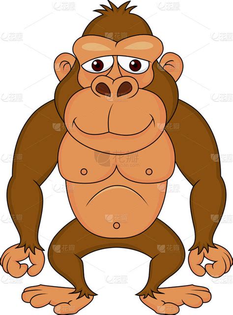 可爱的大猩猩卡通片