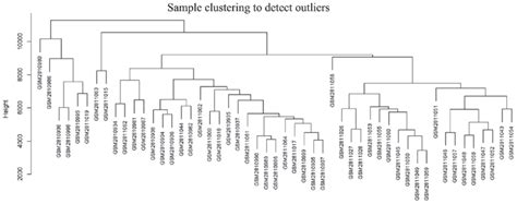 Sample Clustering To Detect Outliers All Samples Were Well Clustered