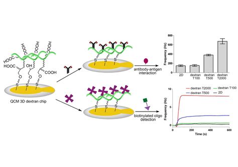 Polymers Free Full Text Optimization Of 3d Surfaces Of Dextran With