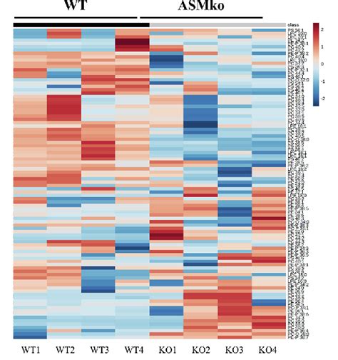 Lipidomic Analysis Of The Altered Phospholipid Composition In The