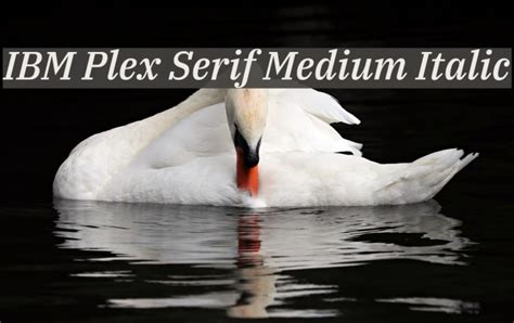 IBM Plex Serif Medium Italic Font FFonts Net