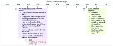 Example Of The Intervention Protocol For A Preterm Infant Born At 31 Download Scientific