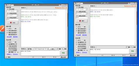 Windows下的tcpudp网络调试工具 Netassist以及linux下的nc网络调试工具tcp网络调试工具 Csdn博客